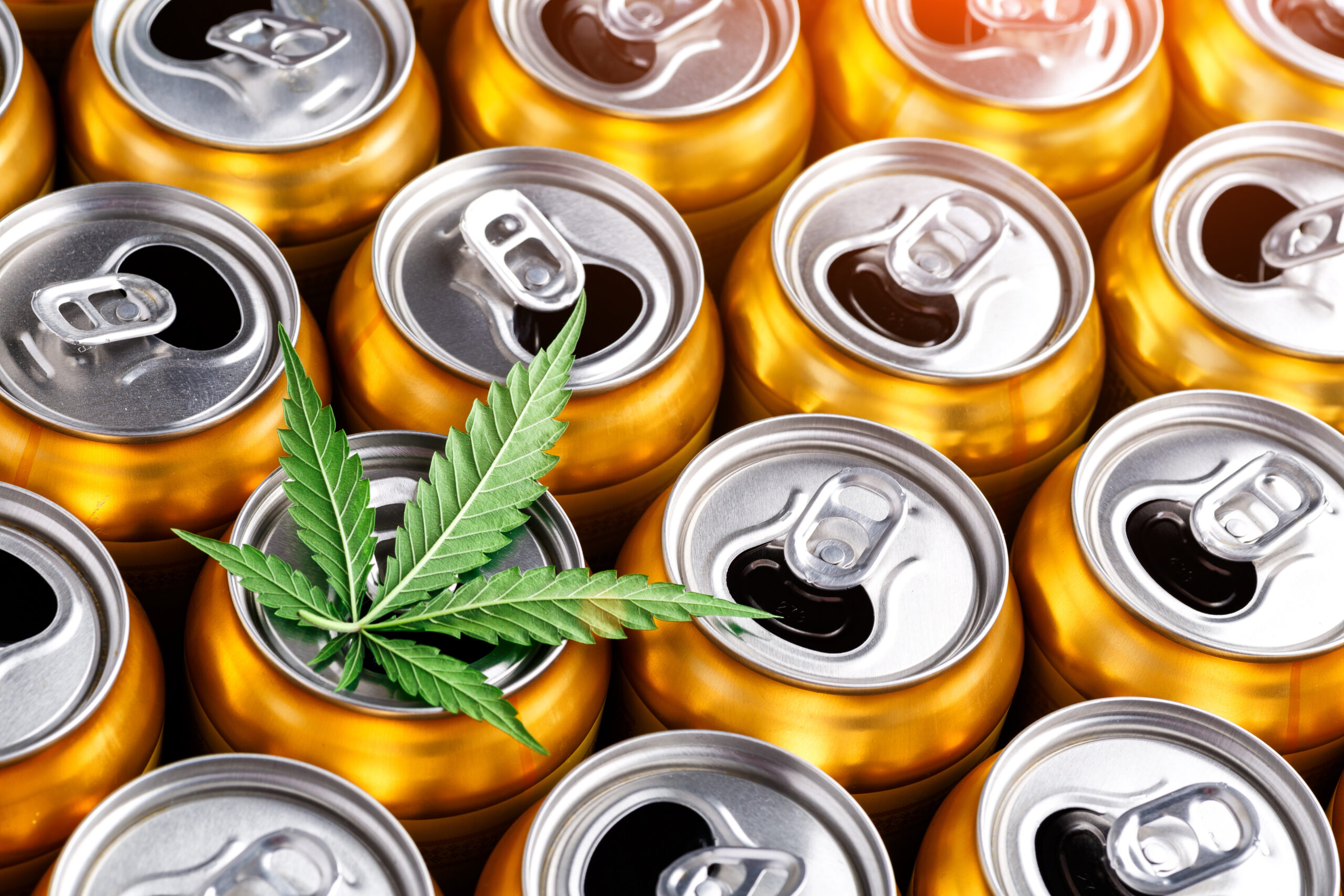 Cannabis Industry Hiring: Building Teams for Growth